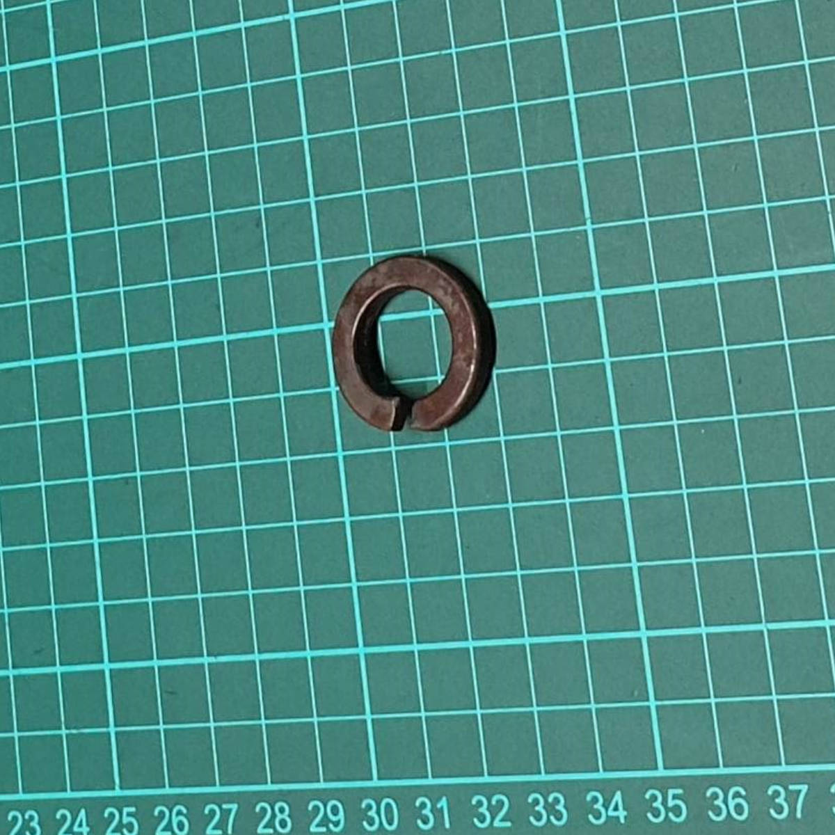 RED ROO Spring Washer 5/8 Ride On 23010012 [RRP23010012] - $0.50