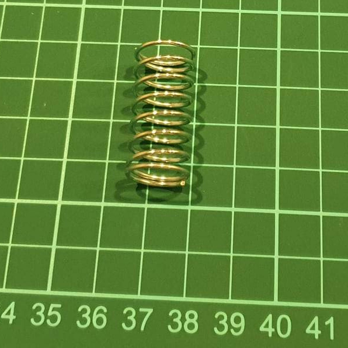 Masport Genuine Spring-Latch, Flap 581106 [MAS581106] - $1.50