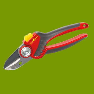Wolf Genuine Premium Plus Anvil Secateurs RS4000 [TASRS4000] - $60.00