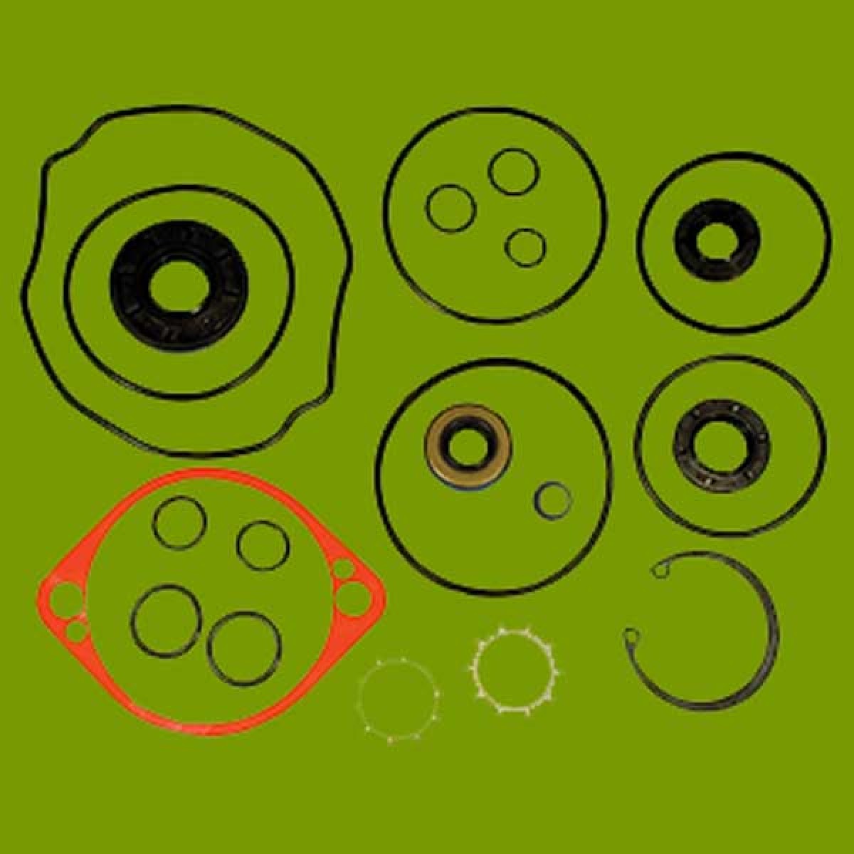 Hydro Gear Hydro Pump Seal Kit 70525, BDP-10A, 025-067 [STE025-067 ...