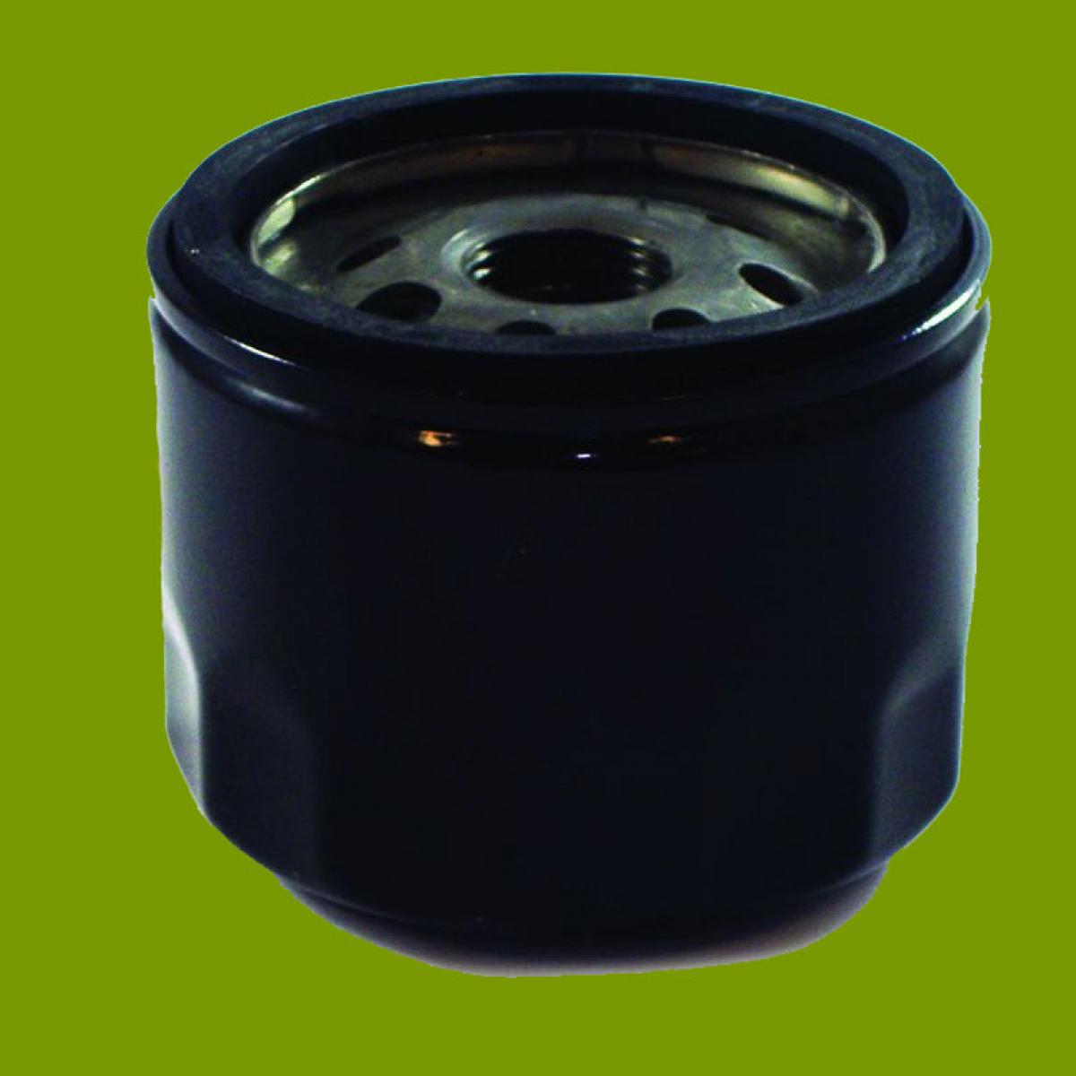 Briggs & Stratton Genuine Oil Filter 795890, 696854 [BRI696854] - $43.76