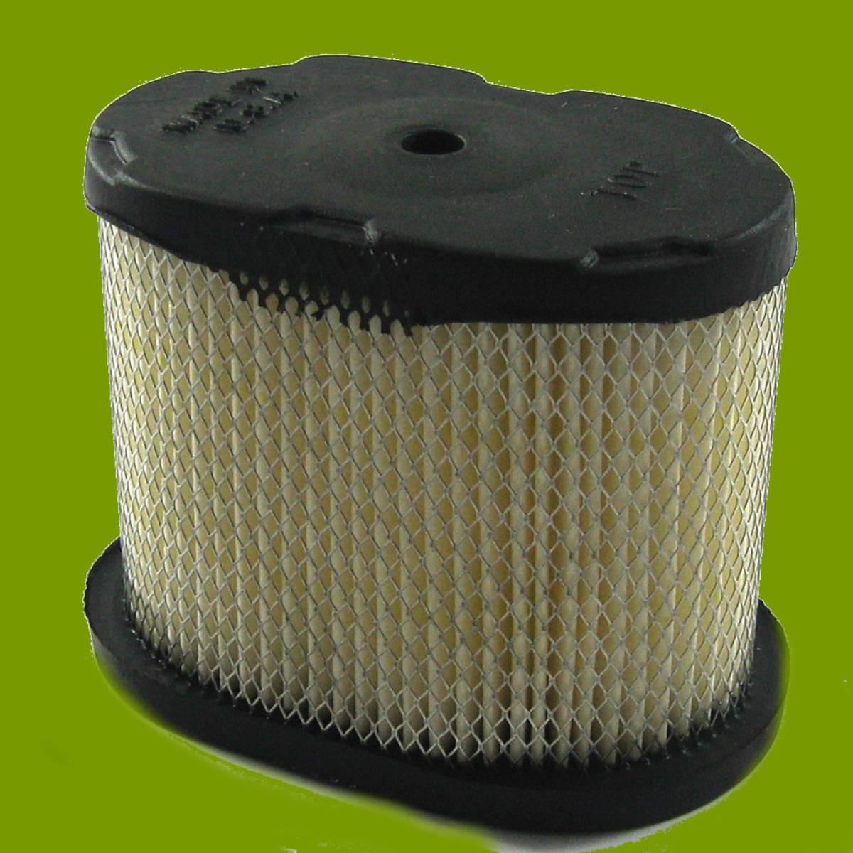 Briggs & Stratton Air Filter 690610, 498596, 697029, 100-093 [STE100 ...