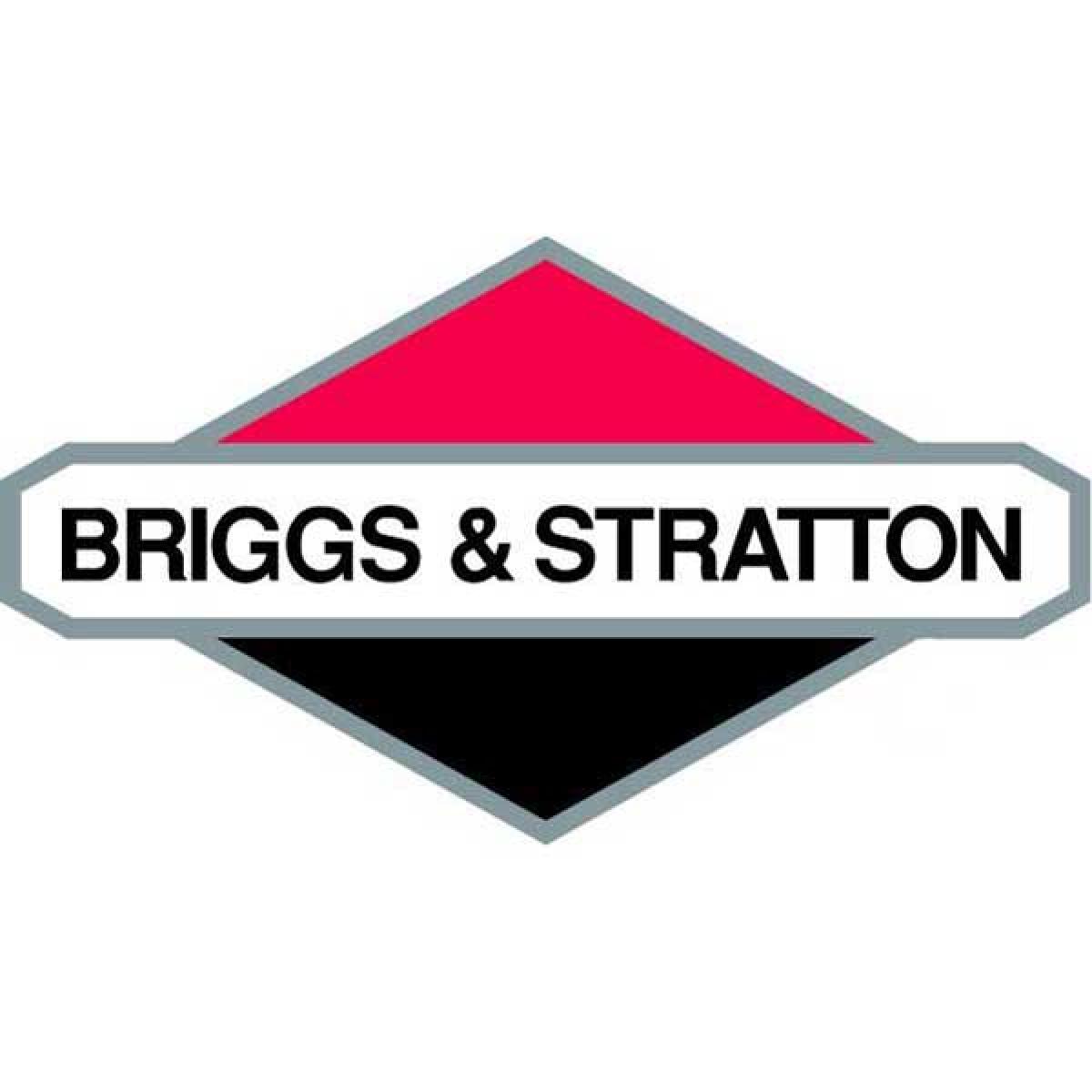 Briggs & Stratton Genuine Vacuum Hose 593998, 797408, 596163 [BRI596163 ...